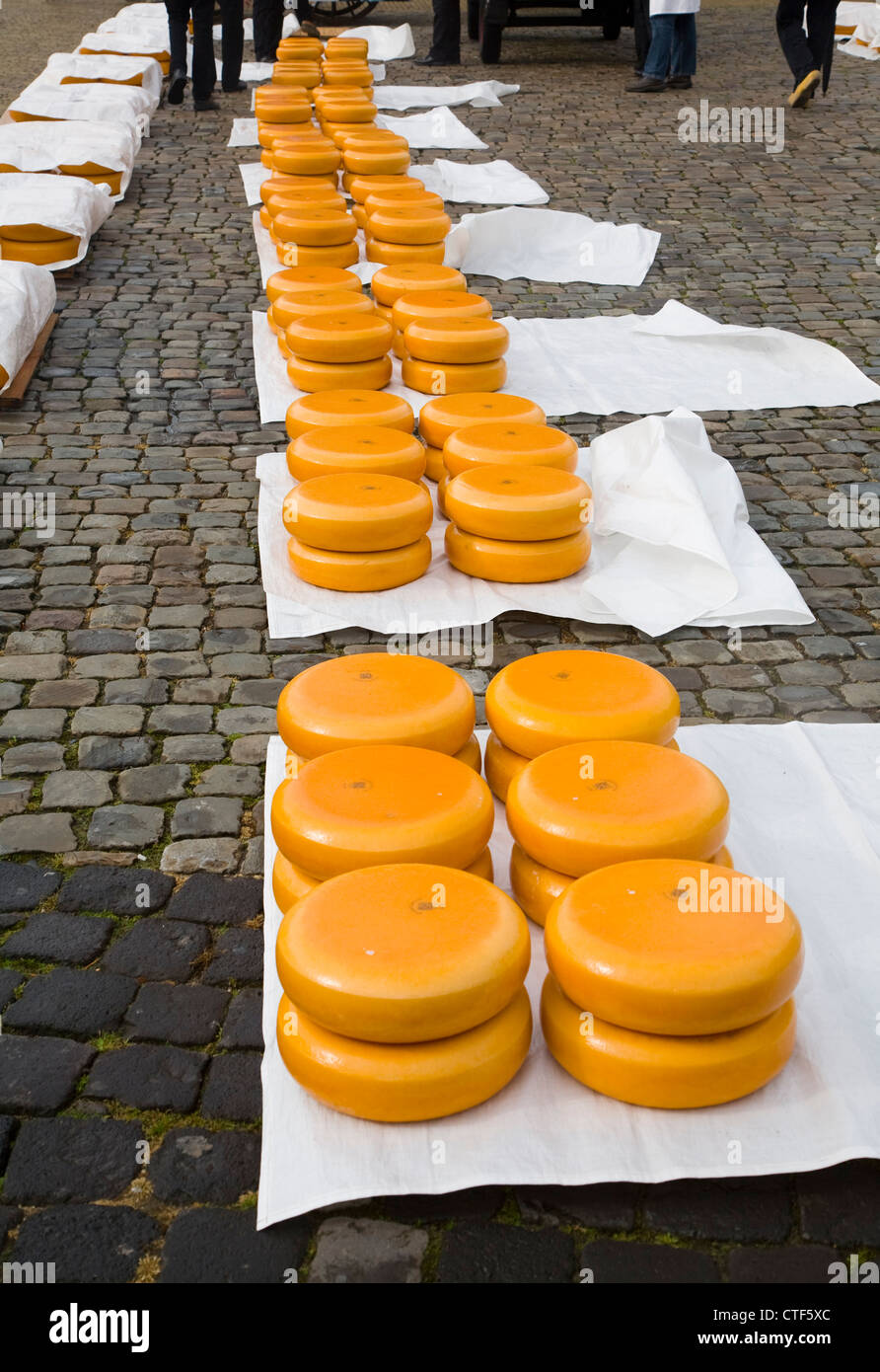 Gouda cheese holland hi-res stock photography and images - Alamy