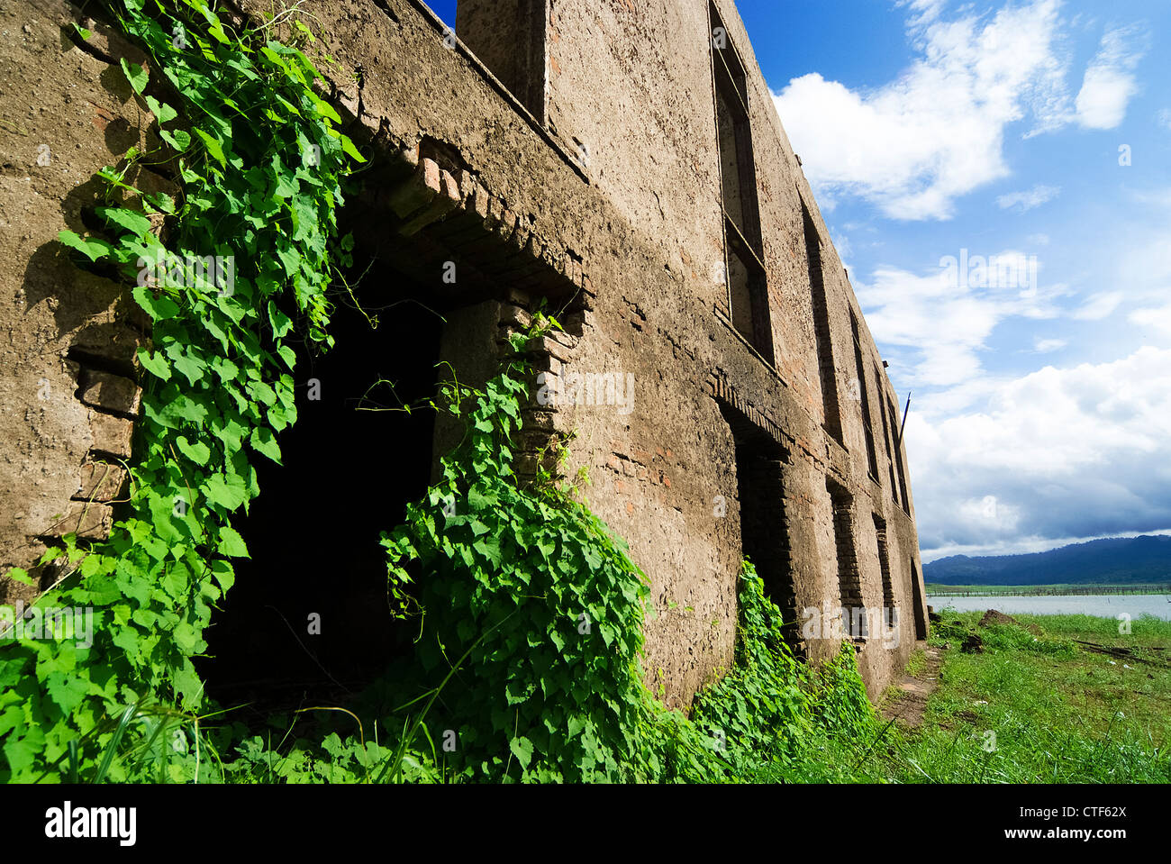 A deserted building covered by climbing plants Stock Photo - Alamy