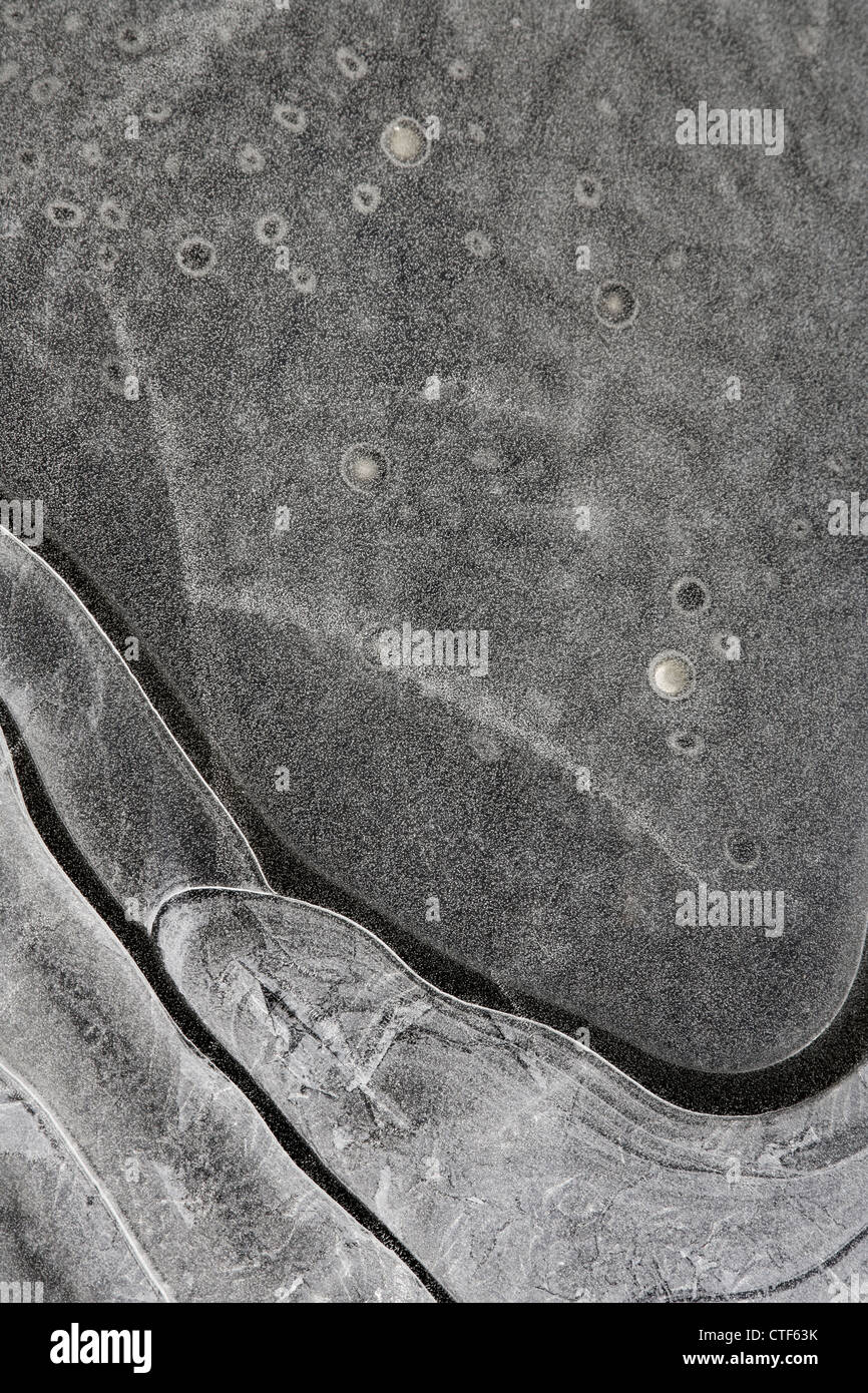 Curved ice sheet hi-res stock photography and images - Alamy