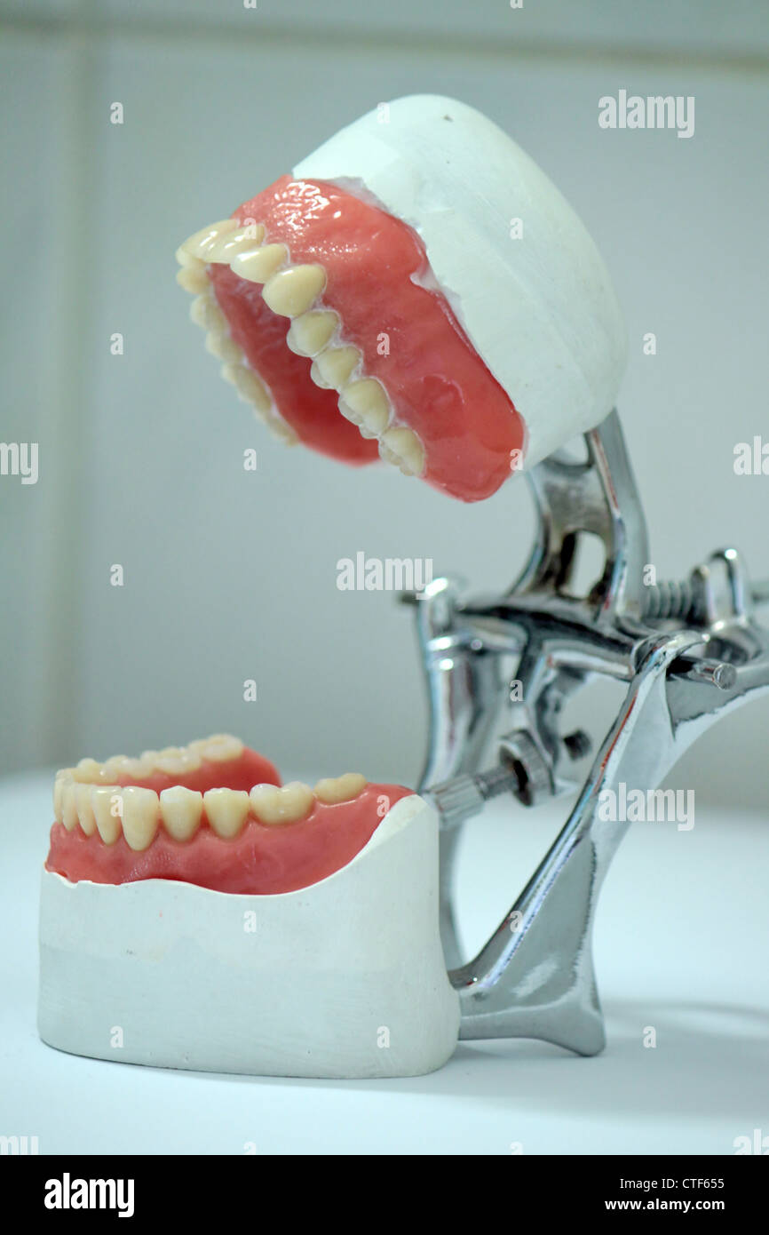 Dental lab articulator and white laboratory background Stock Photo - Alamy