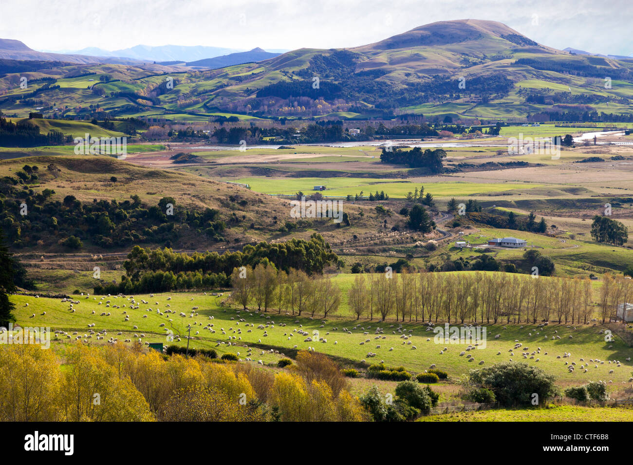 Karitane hi-res stock photography and images - Alamy