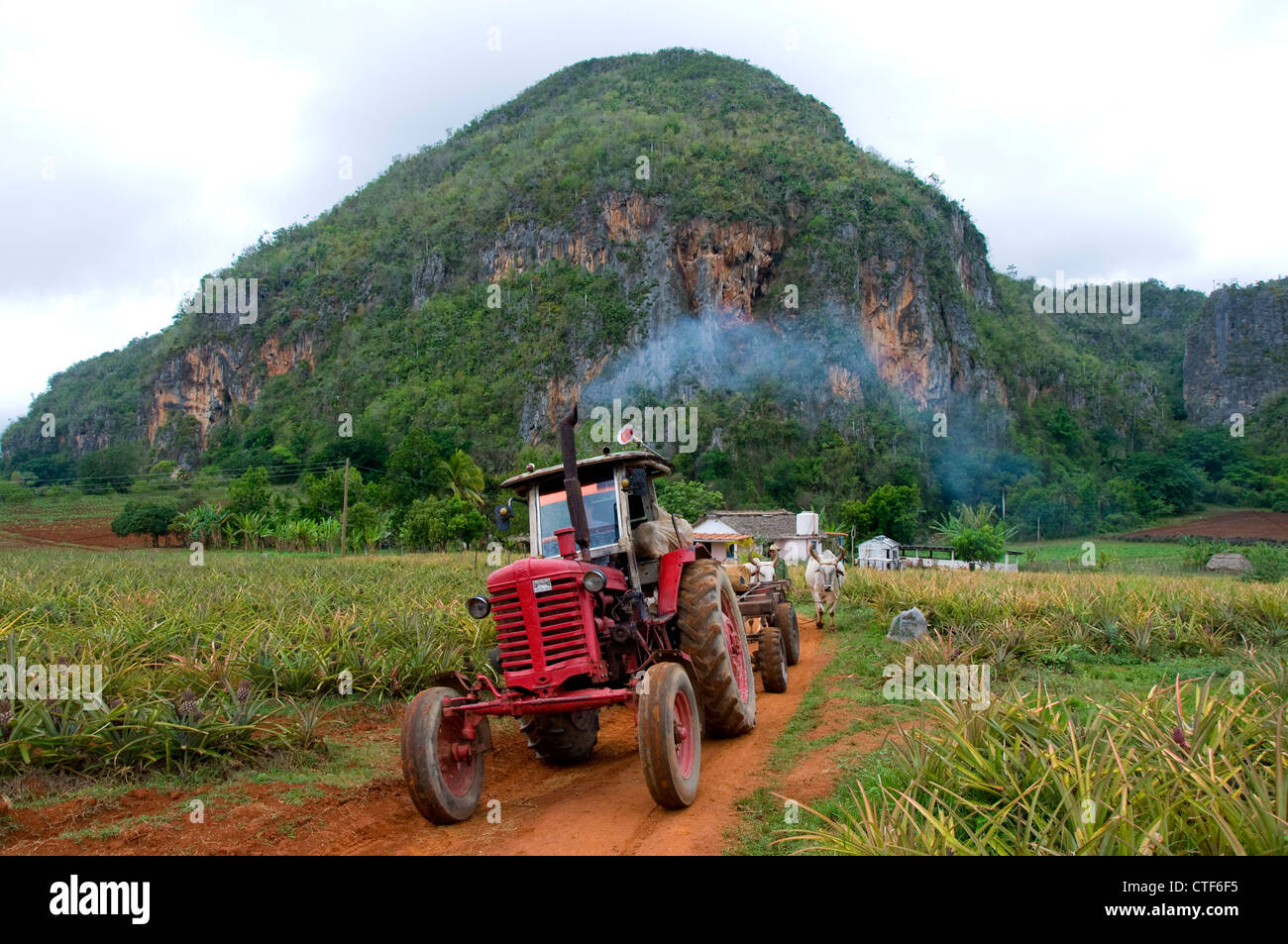 Tractor, Viñales, Cuba Stock Photo - Alamy