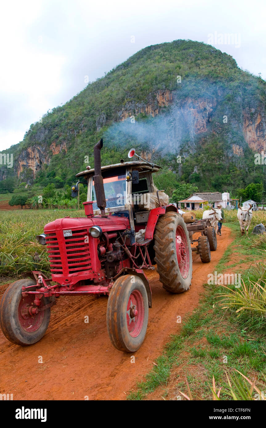 Tractor, Viñales, Cuba Stock Photo - Alamy