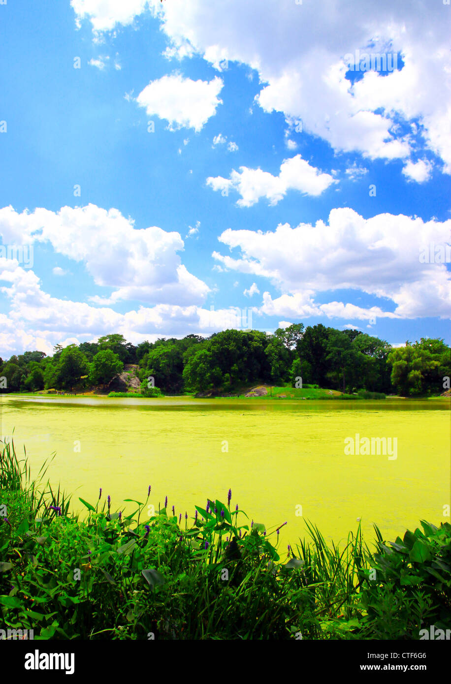 Lagoon colors hi-res stock photography and images - Alamy