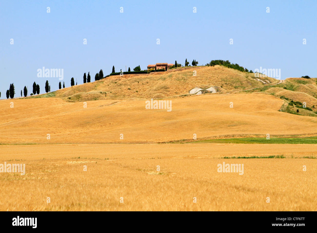 Italy typical landscape of Tuscany, Crete Senesi Stock Photo - Alamy