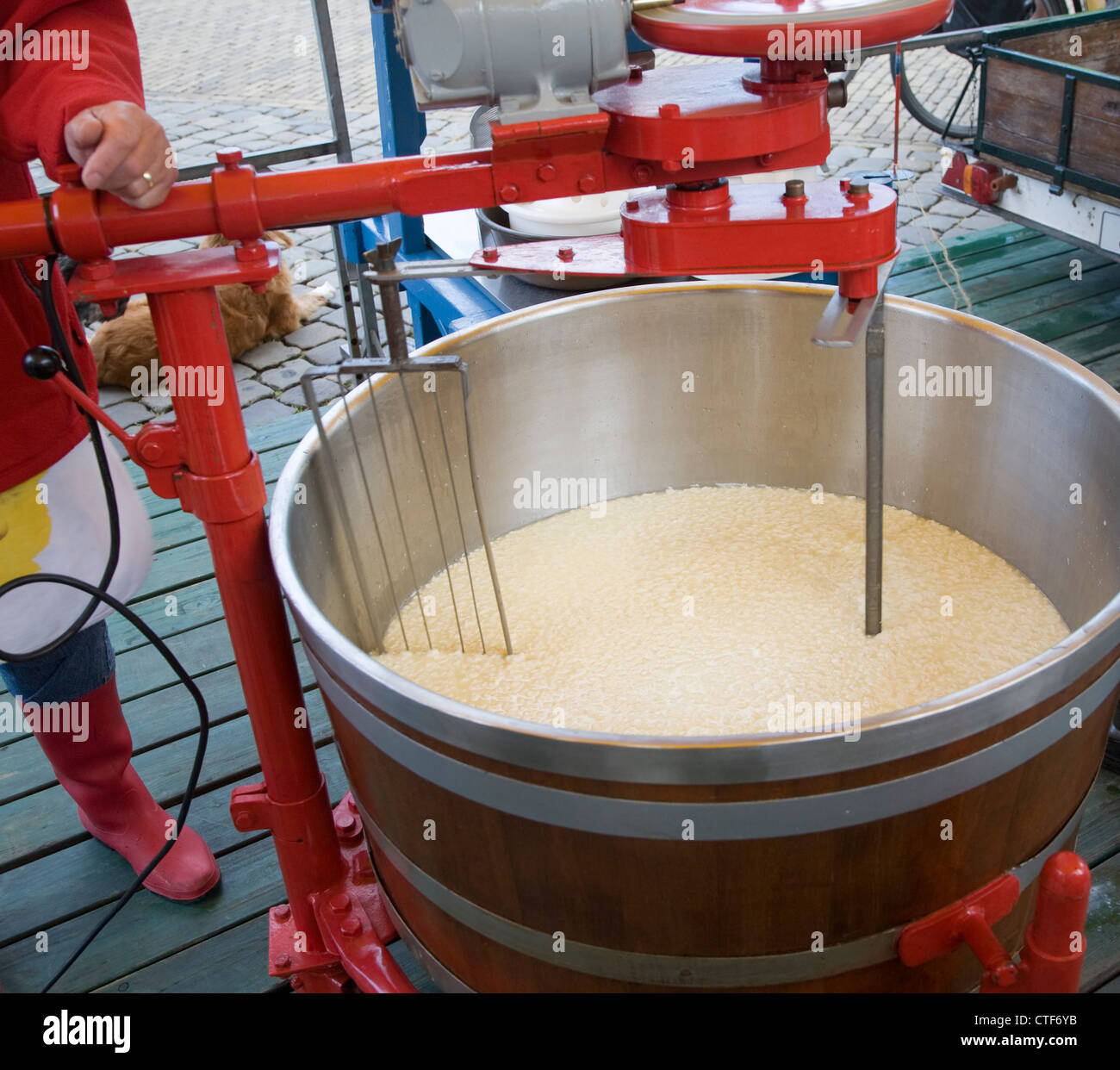 Cheese making demonstration Gouda Netherlands Stock Photo - Alamy