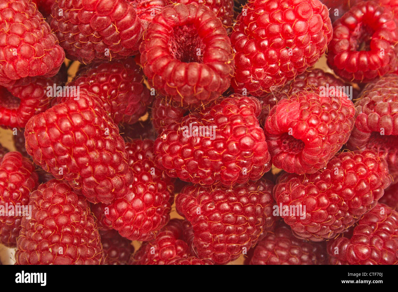 Group of Raspberries - the abstract food background Stock Photo - Alamy