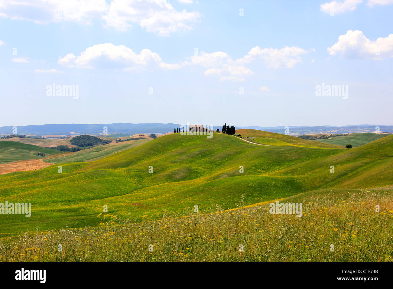 Italy typical landscape of Tuscany, Crete Senesi Stock Photo - Alamy
