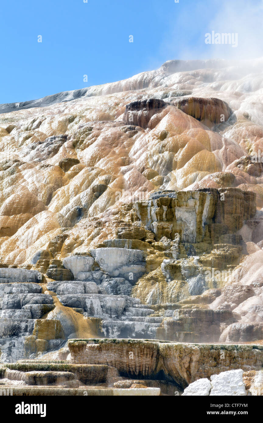 The Lower Terraces of Mammoth Hot Springs, Yellowstone National Park ...