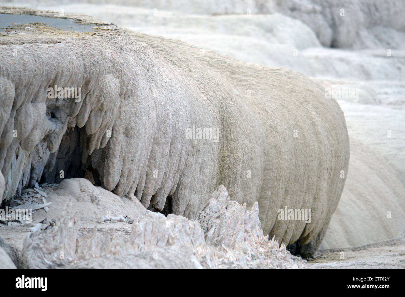 The Lower Terraces of Mammoth Hot Springs, Yellowstone National Park ...