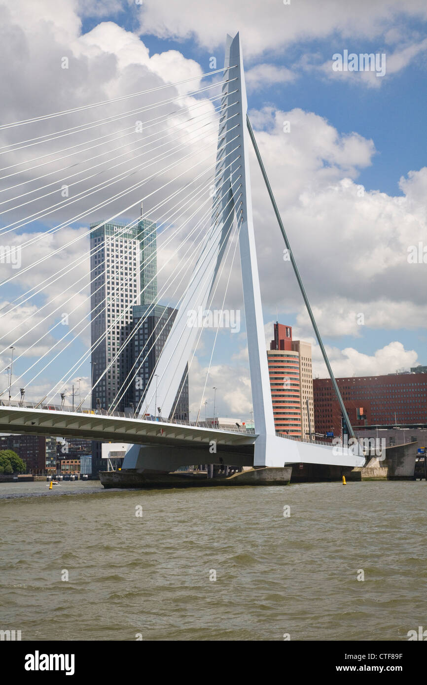 Erasmus Bridge, spanning the River Maas, Rotterdam, Netherlands Stock ...