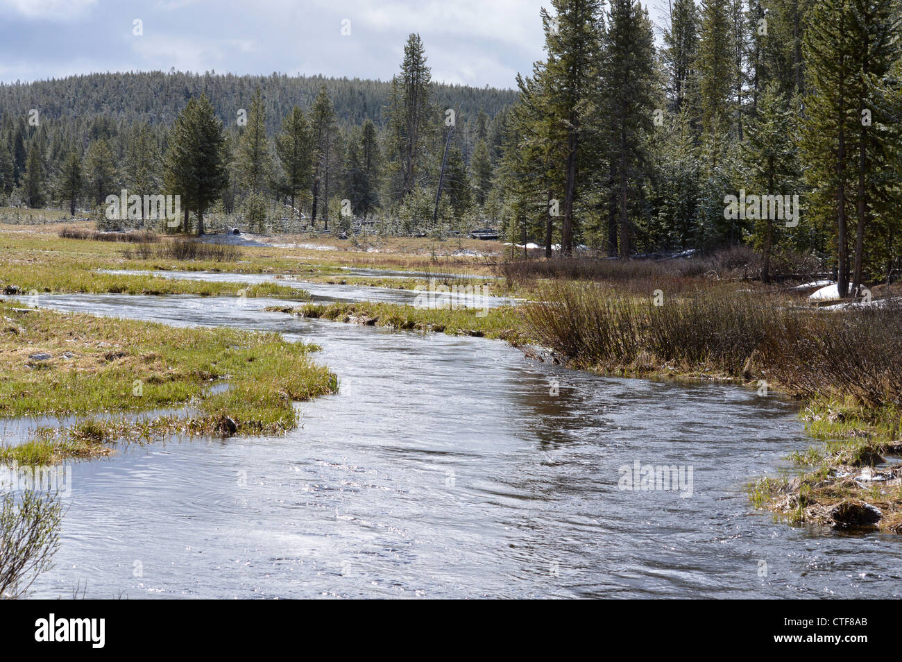 Scenic view of a watery meadow in Yellowstone national park Stock Photo ...