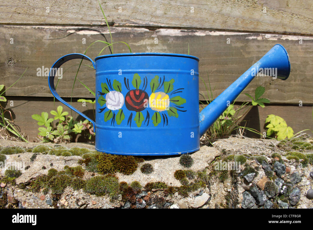 Garden shots hi-res stock photography and images - Alamy