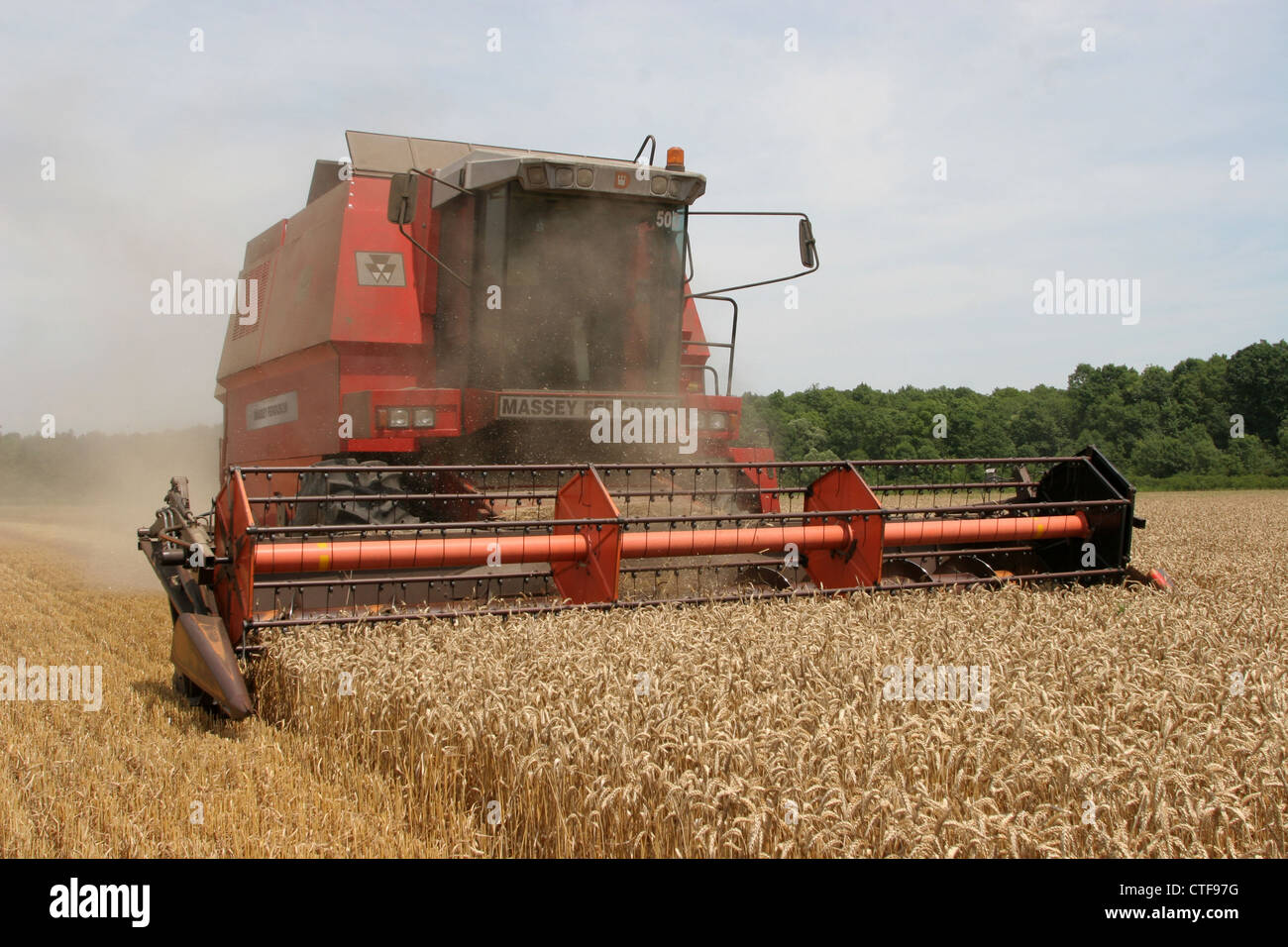 Combine harvesting wheat Stock Photo - Alamy