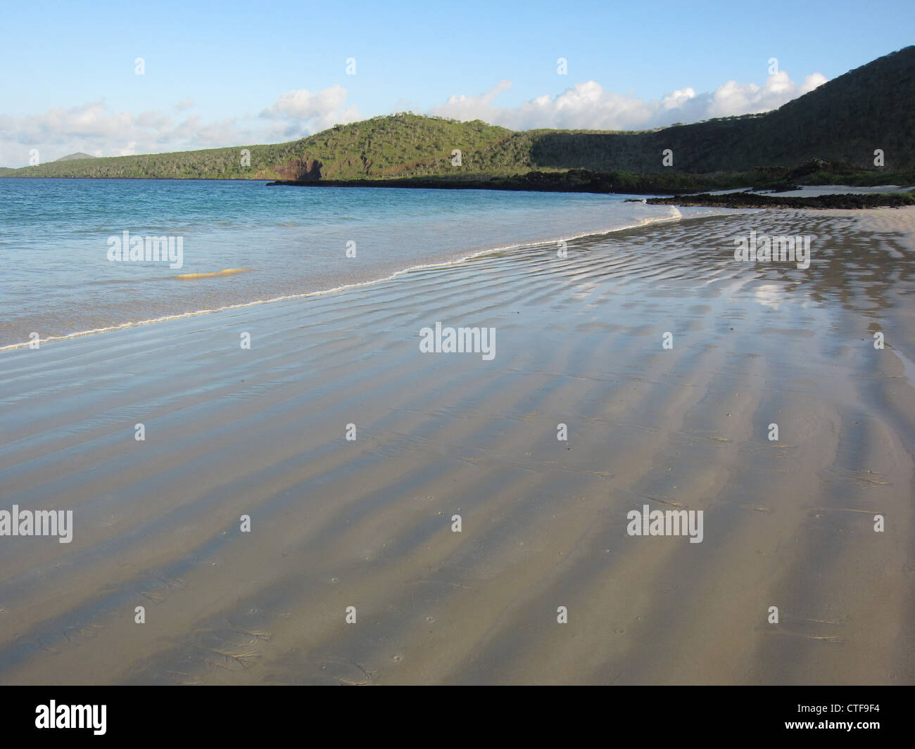 Punta Cormorant beach, on Floreana Island in the Galapagos Islands ...