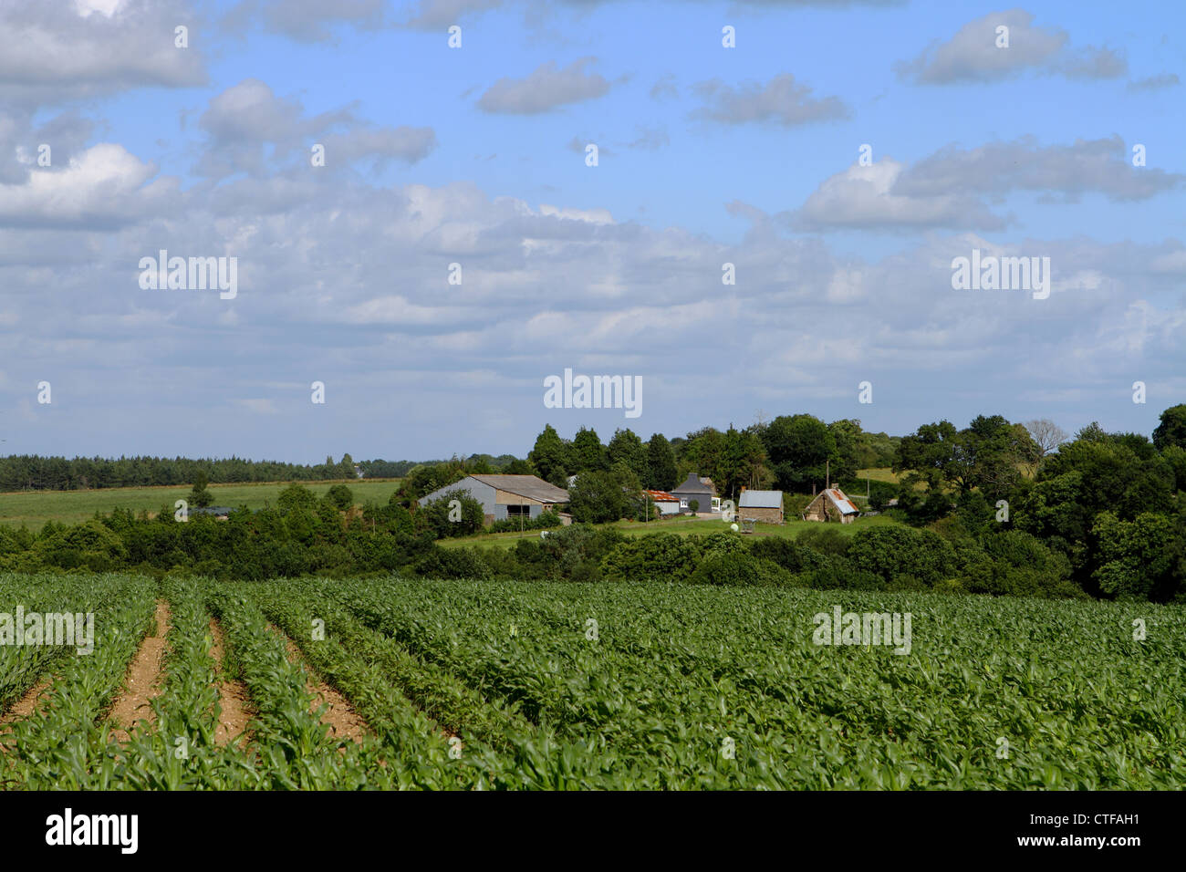Rural countryside scene Stock Photo - Alamy
