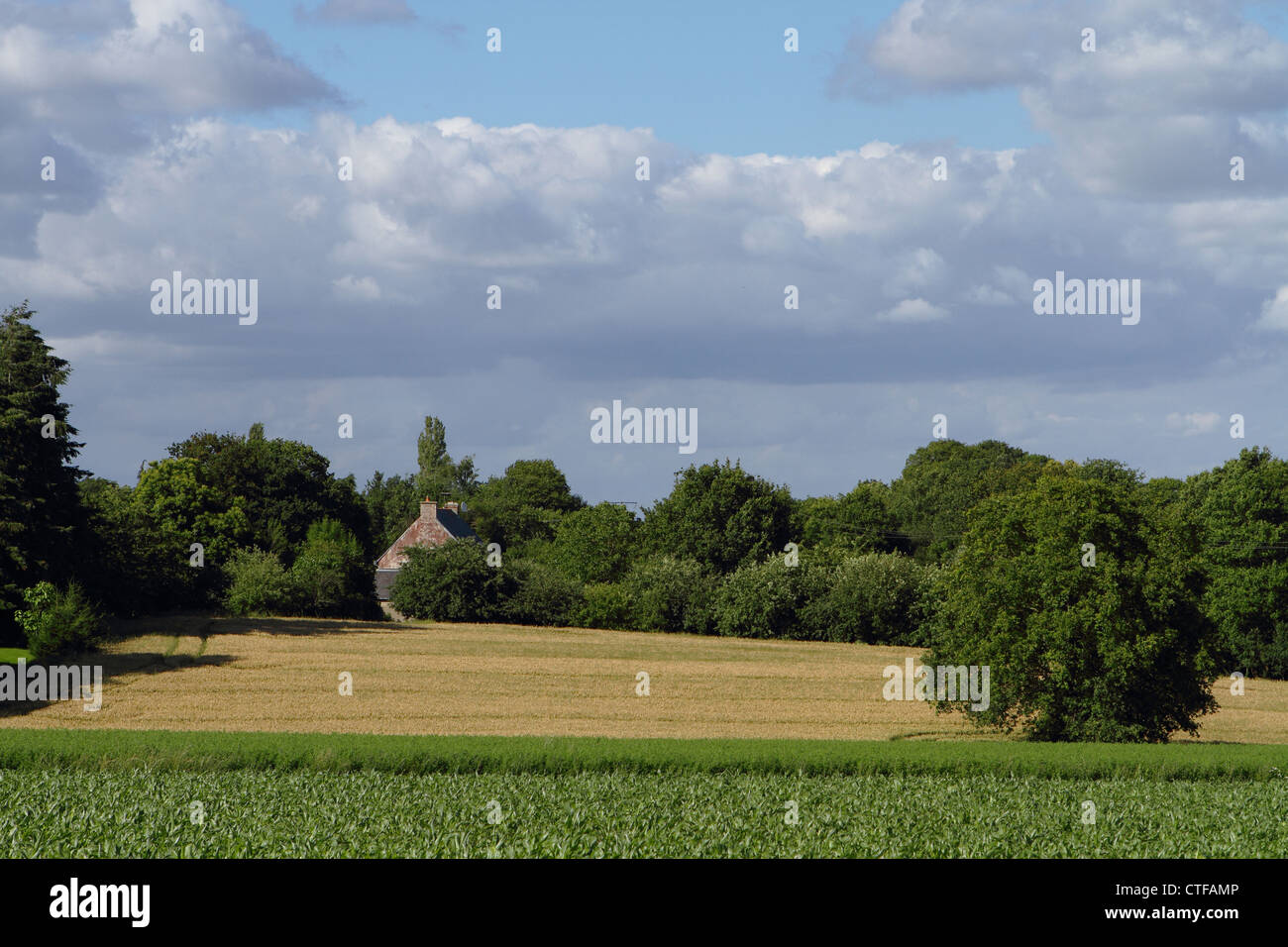 Rural countryside scene hi-res stock photography and images - Alamy