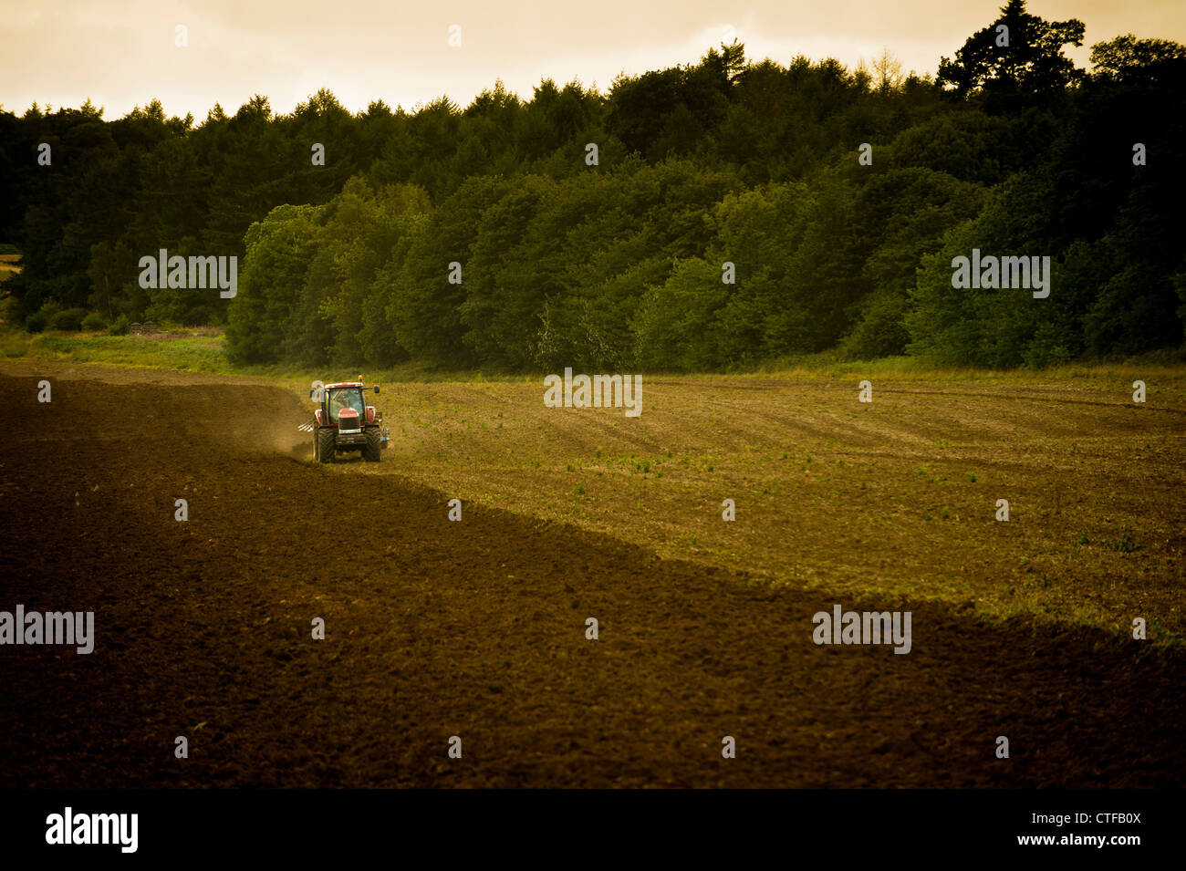 Ploughing in sunshine hi-res stock photography and images - Alamy