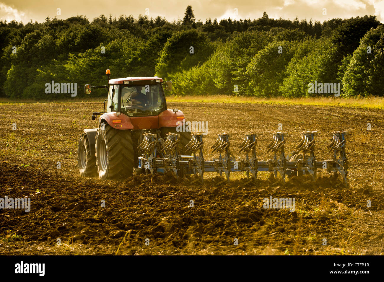 Rear view of a tractor ploughing field in late summer evening sunshine ...