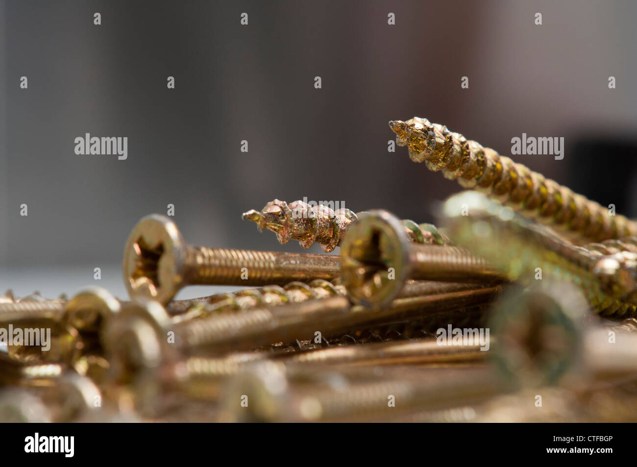 Construction screws fixings close up detail Stock Photo - Alamy