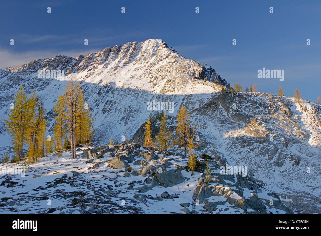Golden landscape nature outside rocky rugged snow tamarack trees hi-res ...