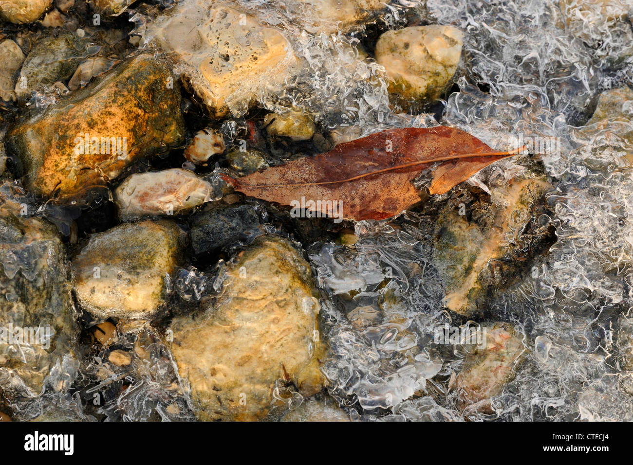 Ice patterns along Lake Winnipeg shoreline Matlock, Manitoba, Canada ...