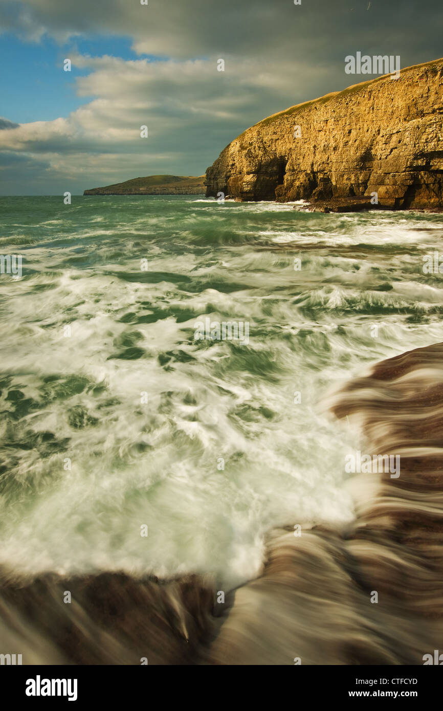 Dancing ledge dorset hi-res stock photography and images - Alamy
