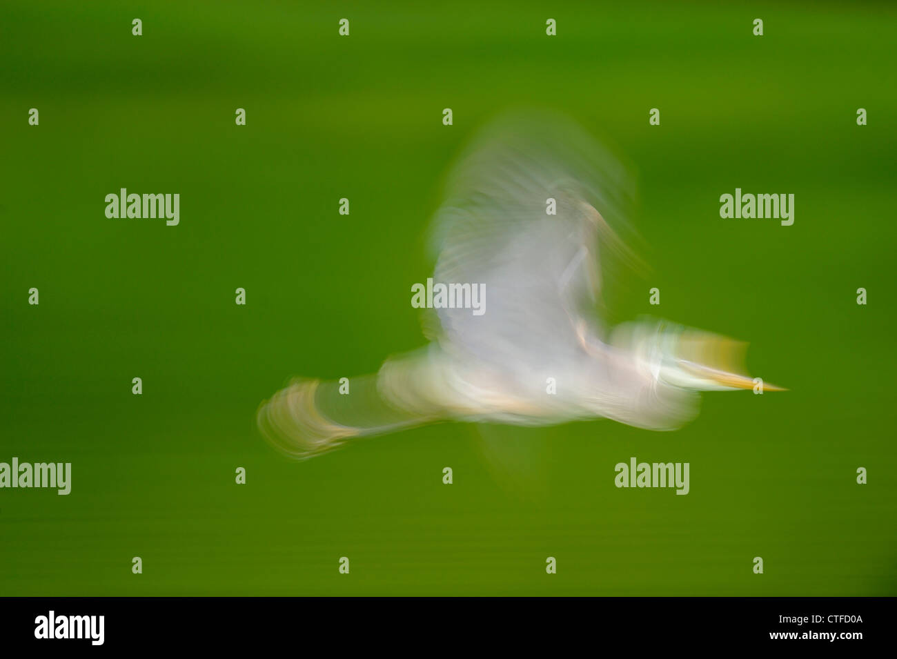 Panning camera technique hi-res stock photography and images - Alamy