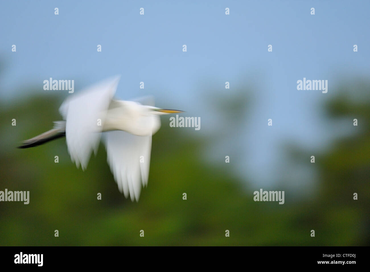 Panning camera technique hi-res stock photography and images - Alamy