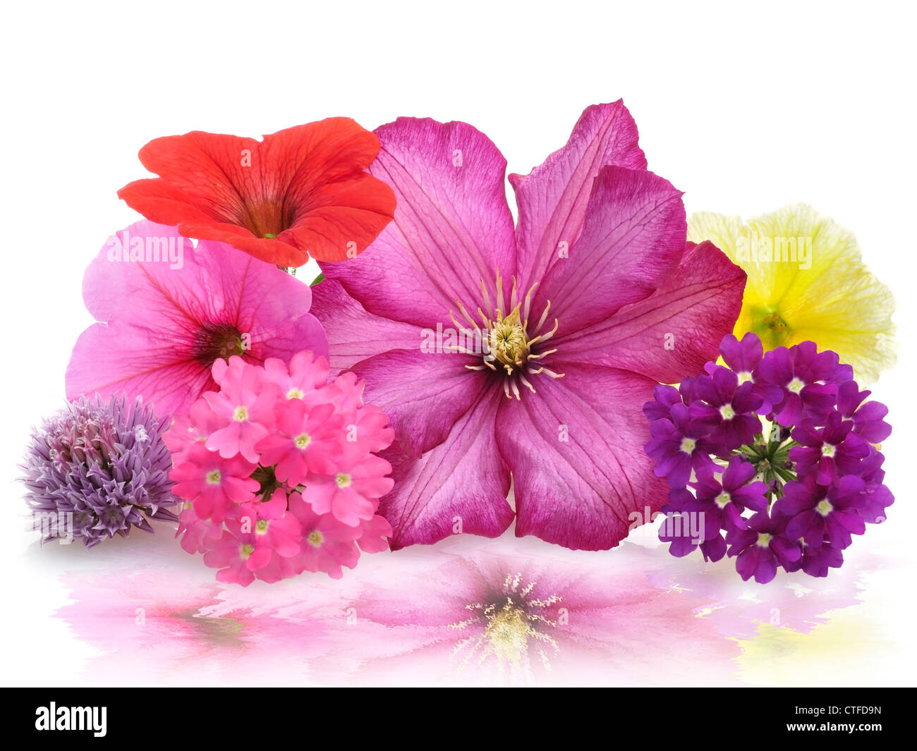 Fresh colorful flowers hi-res stock photography and images - Alamy