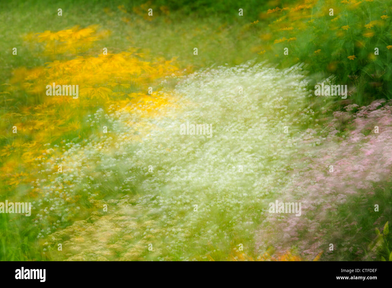 Suburban gardens hi-res stock photography and images - Alamy