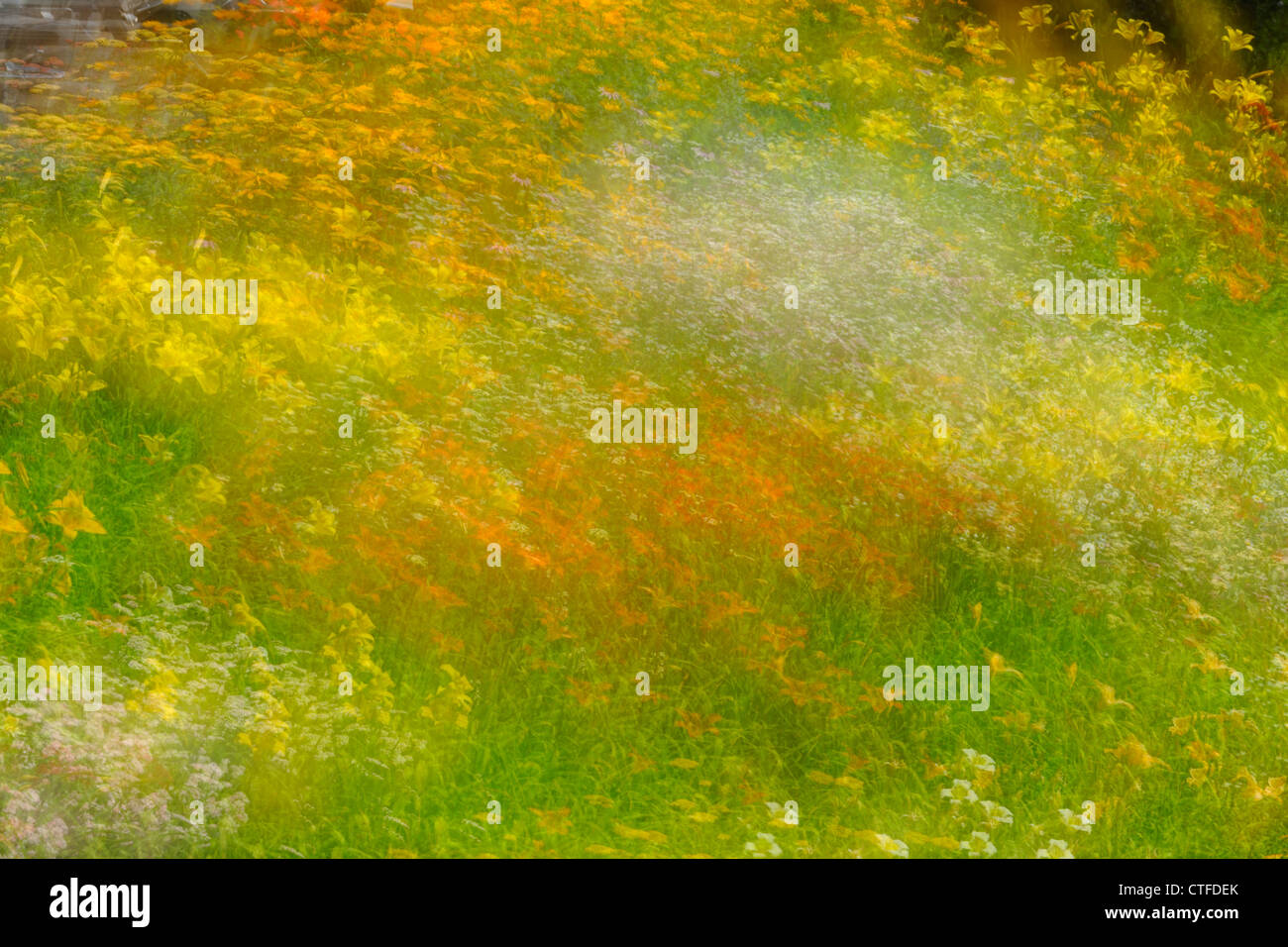 Suburban gardens hi-res stock photography and images - Alamy