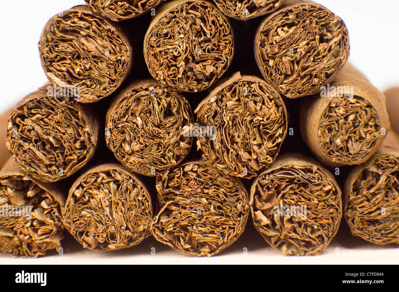 close-up. The photograph shows the raw material from which cigars are ...