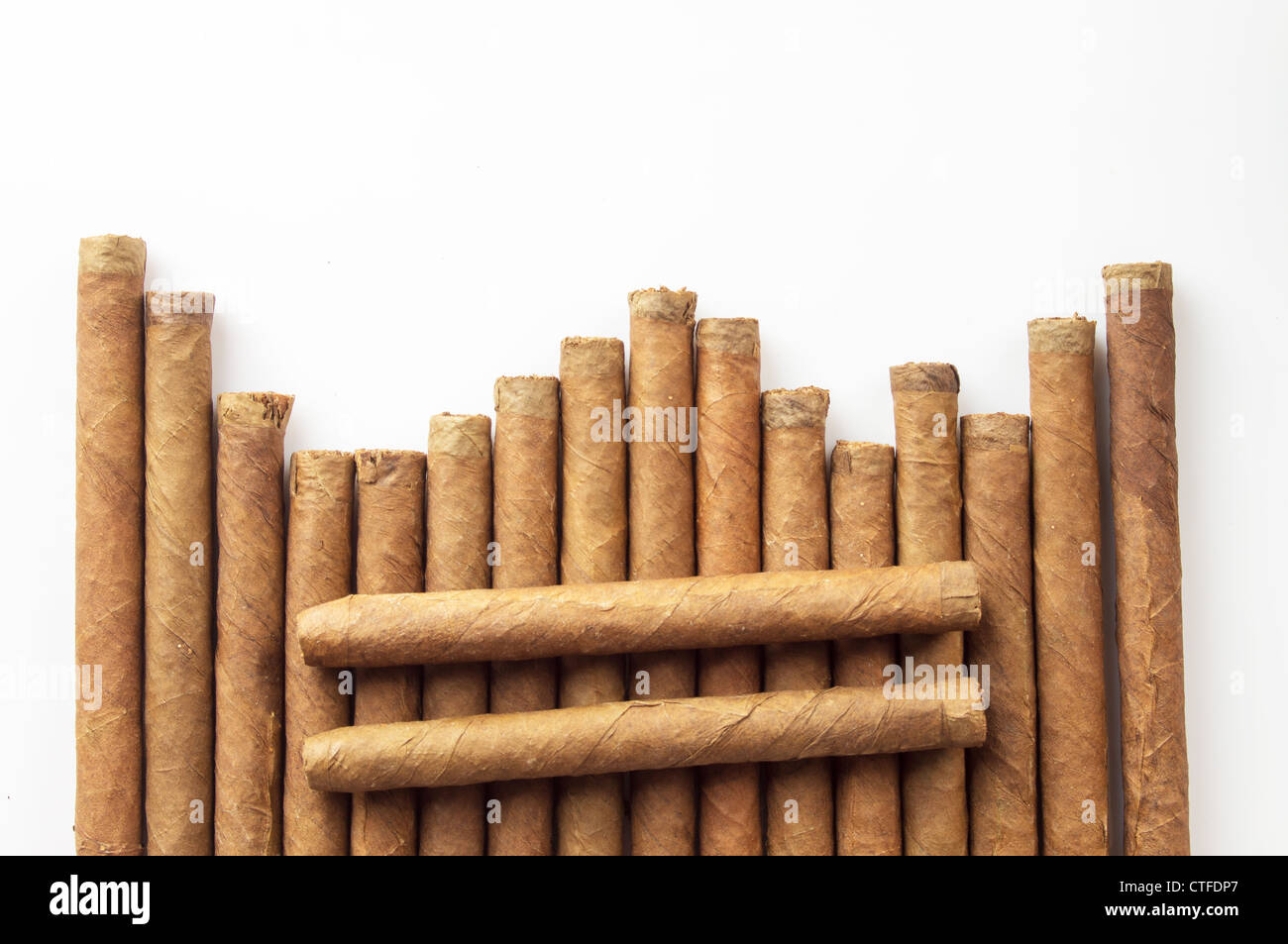 cuban cigar with reflection in white background perspective Stock Photo ...