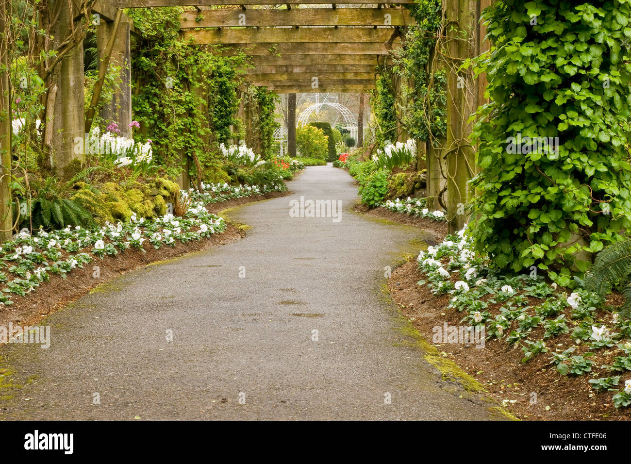 A series of tressels cover a flower lined garden pathway Stock Photo ...