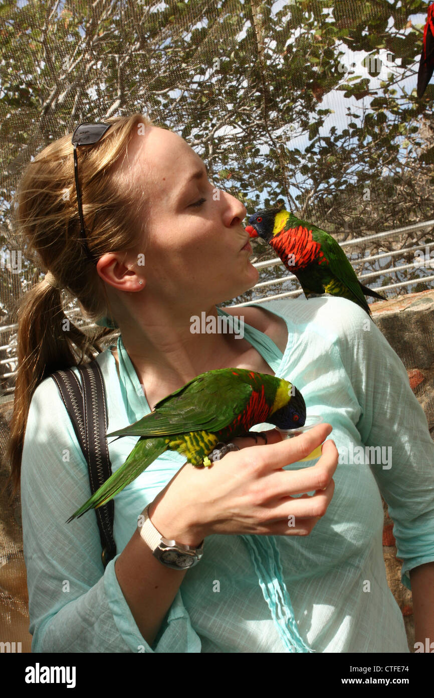 woman with parrots in a bird sanctuary photographed in St Thomas, US ...