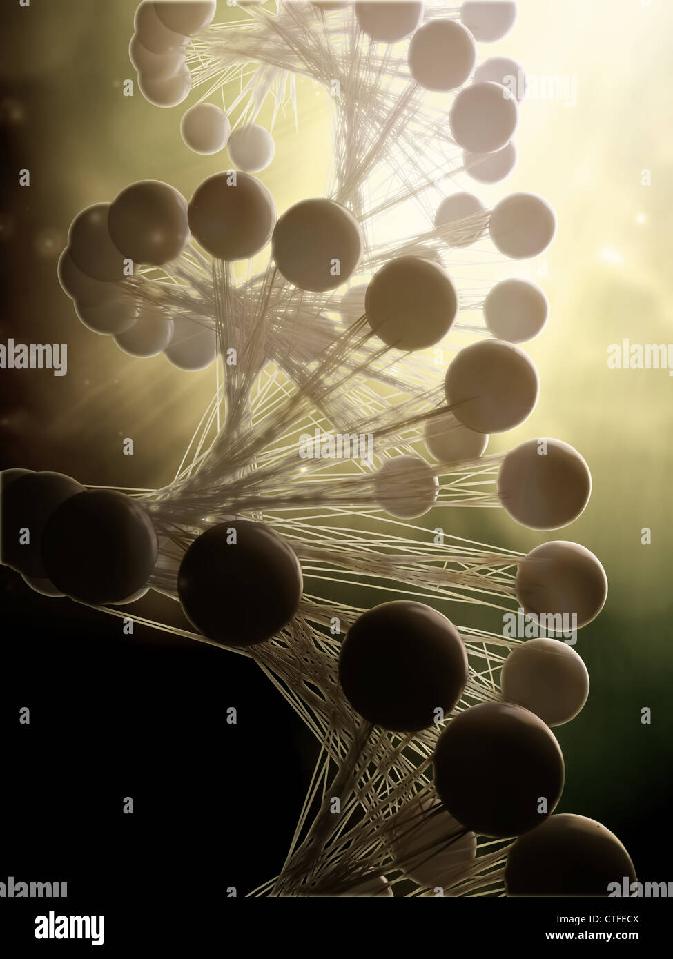 Stylized DNA double helix strand model Stock Photo - Alamy