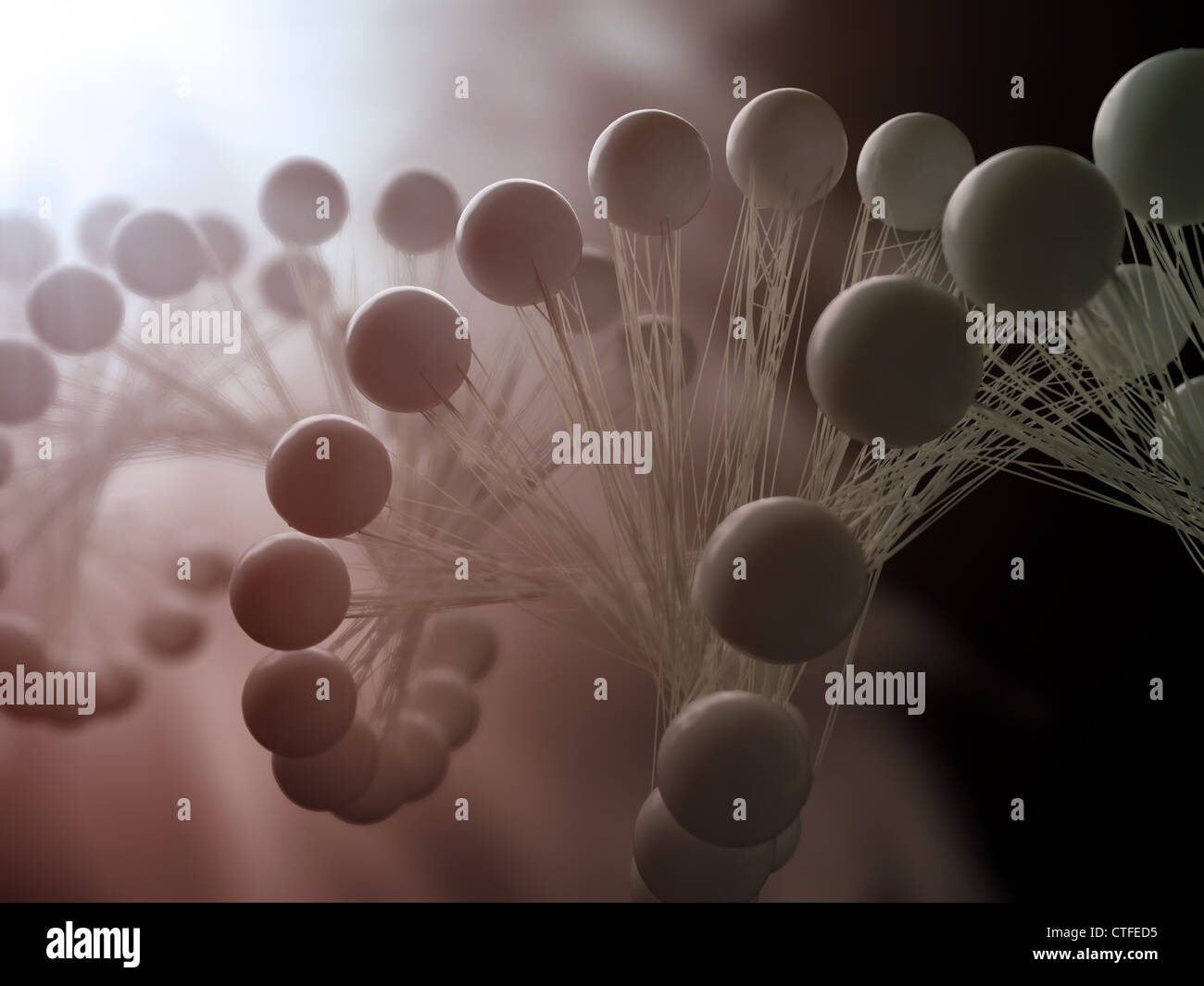 Stylized DNA double helix strand model Stock Photo - Alamy