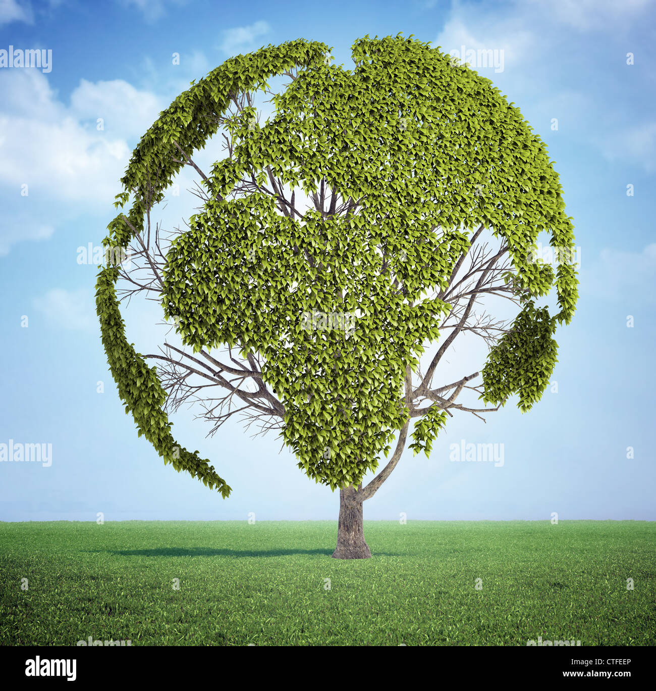 Tree with the leafs forming the world map on a meadow Stock Photo - Alamy