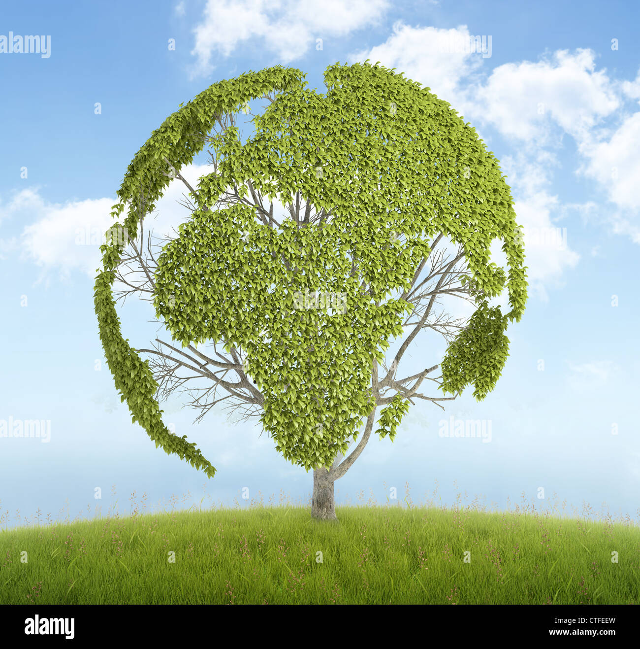 Tree with the leafs forming the world map on a hill Stock Photo - Alamy