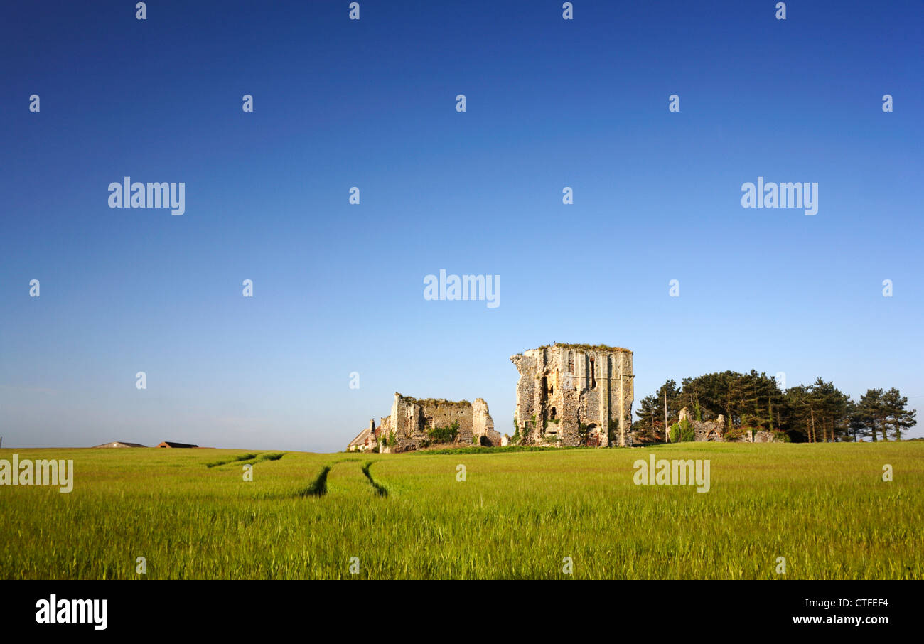 A view of part of the ruins of Bromholm Priory at Bacton-on-Sea ...