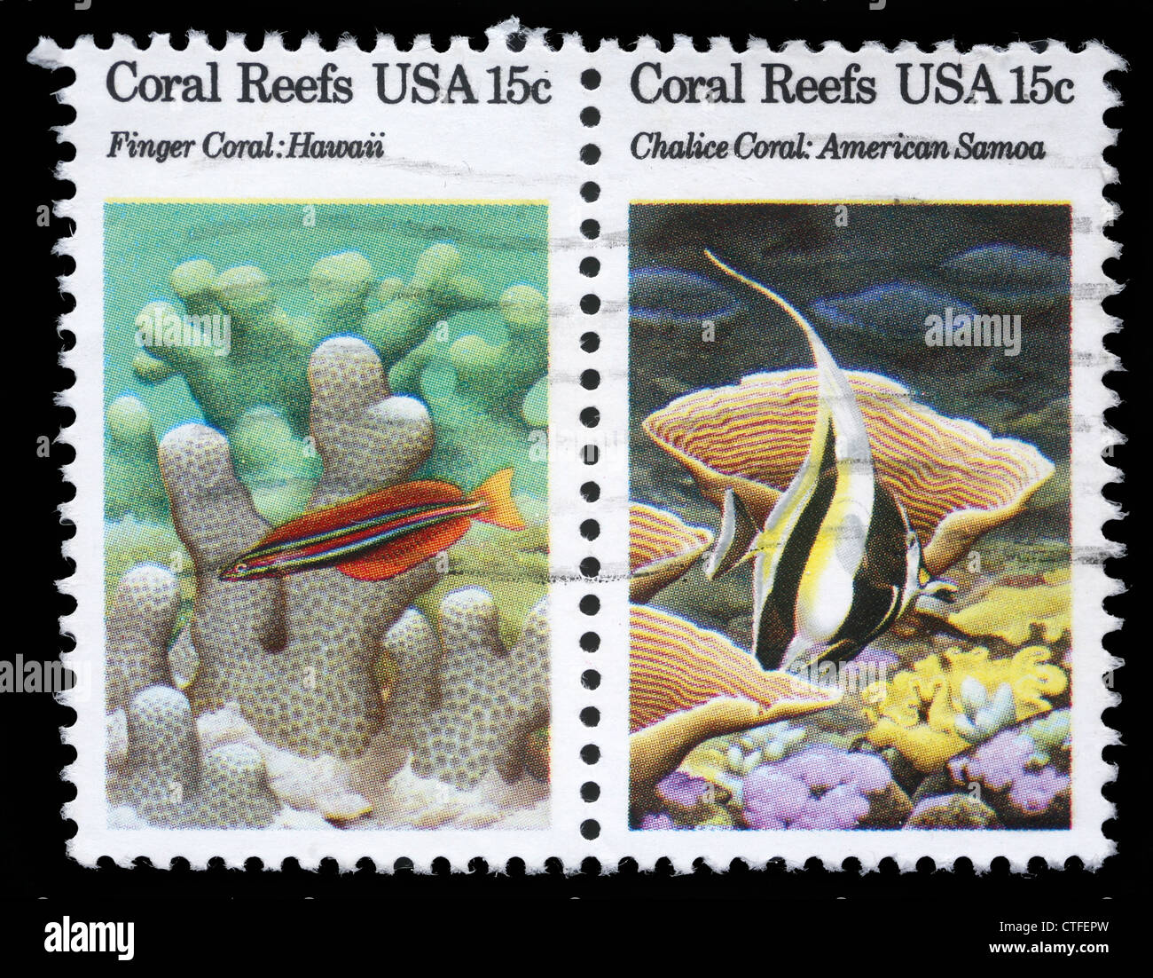 USA - CIRCA 1980 : A stamp printed in the USA shows Coral Reefs, circa ...