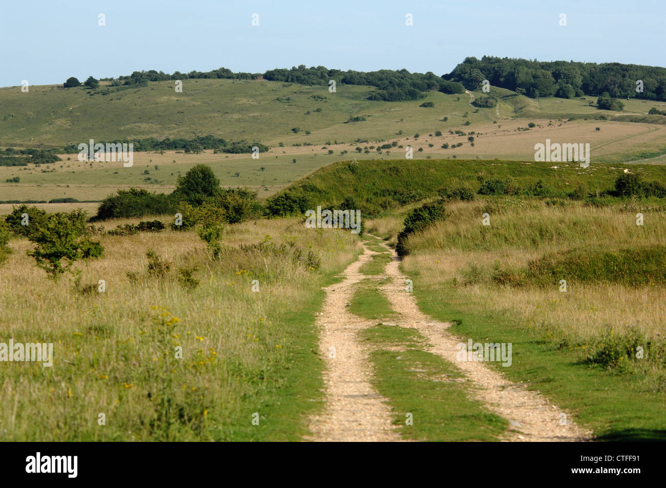 A track across Martin Down nature reserve UK Stock Photo - Alamy