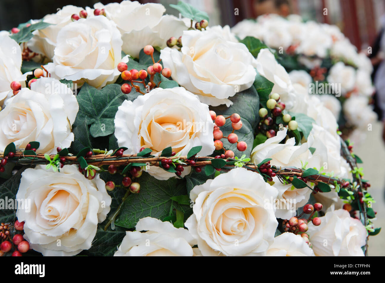 Creamy Roses High Resolution Stock Photography and Images - Alamy