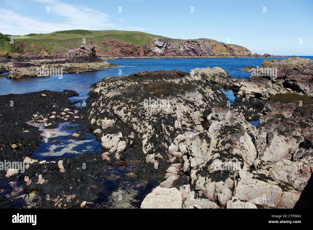 Horizontal view of St Abbs Head across rocks in the summer Stock Photo ...