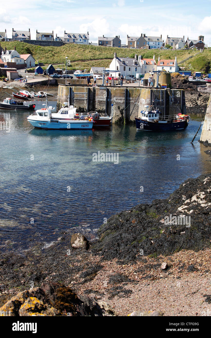 View of St Abbs harbour with fishing boats. Village in background Stock ...