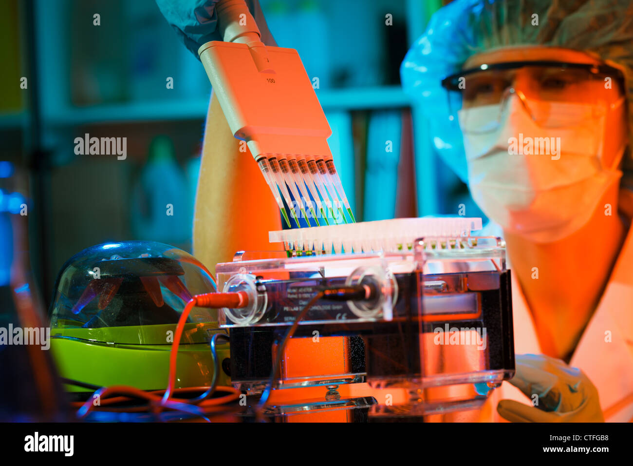 Researcher using a multi-pipette to fill a multiwell sample tray in a ...