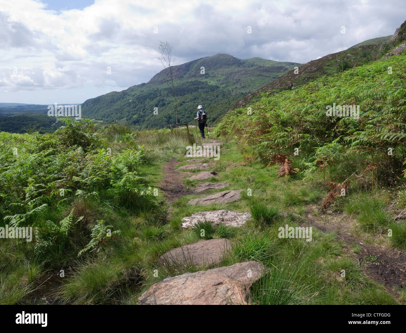 Cwm bychan hi-res stock photography and images - Alamy