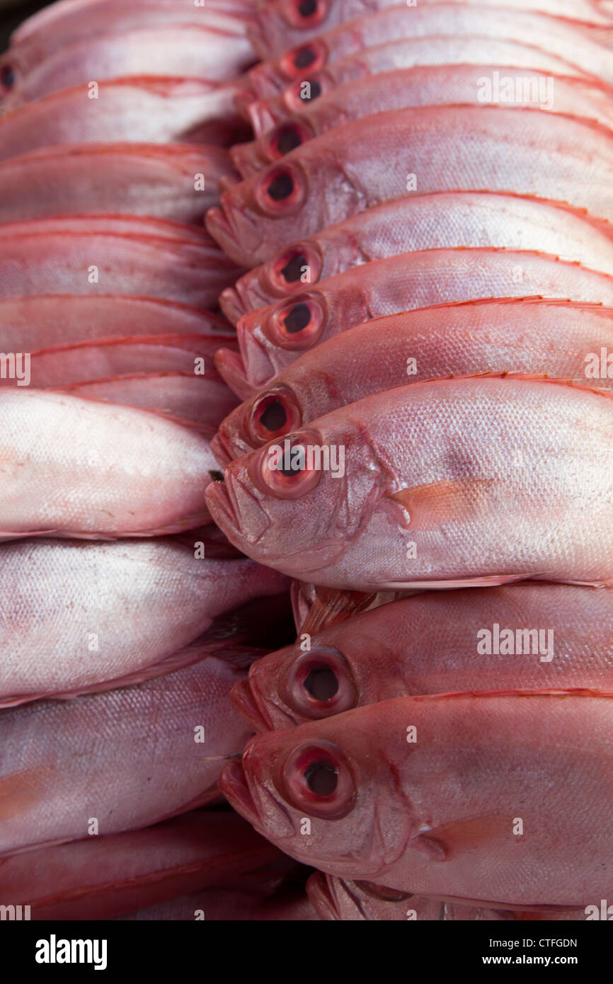 Red snapper displayed on a fish market in Kota Kinabalu, Sabah, Borneo ...
