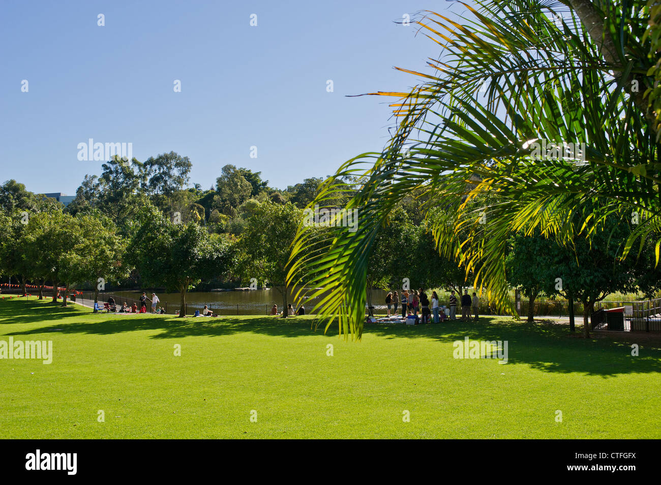 Roma Street Parkland in Brisbane in Queensland Australia Stock Photo ...